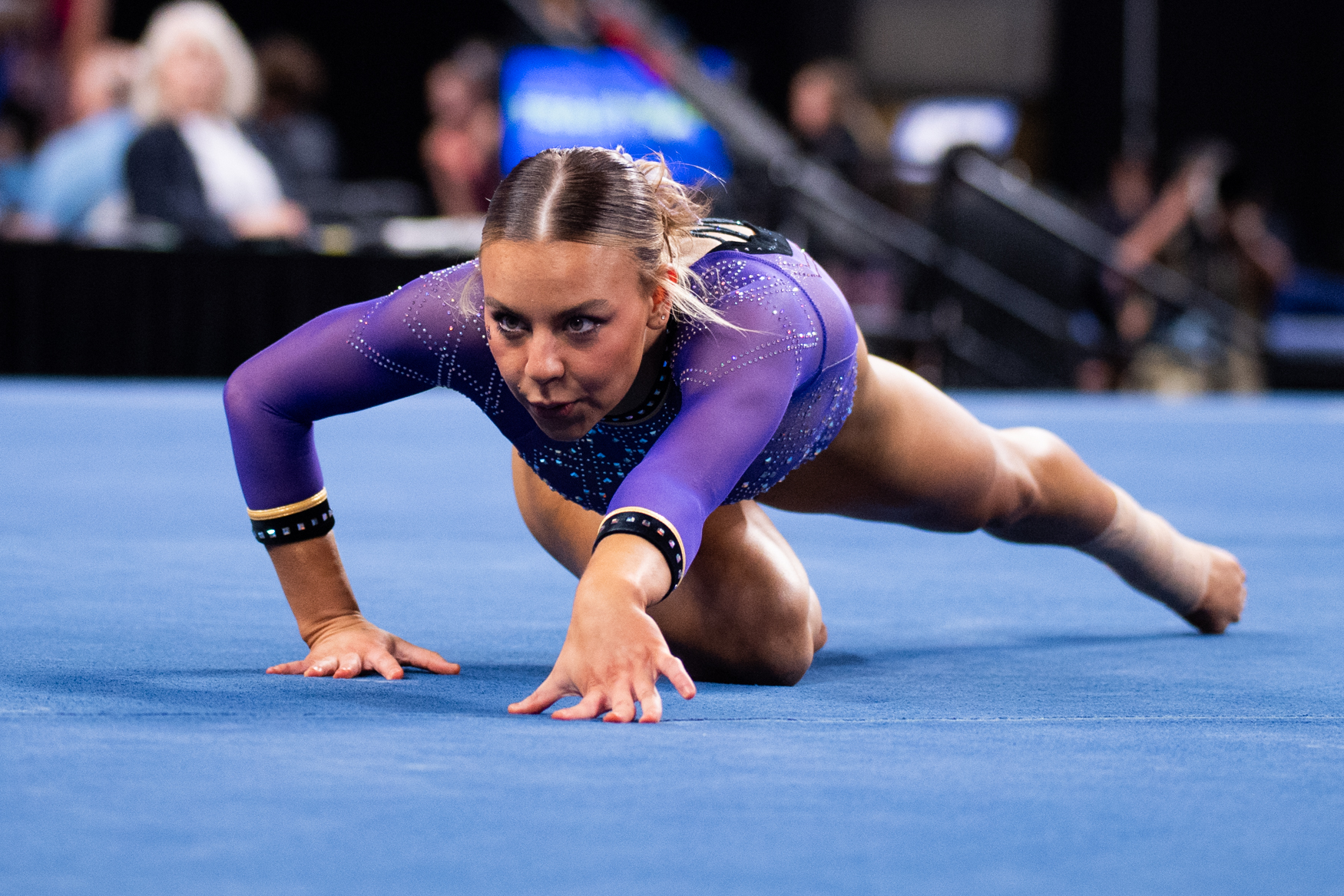 Results from Search by College Program