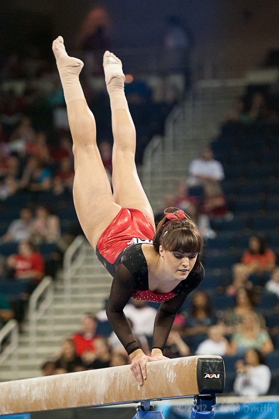 Results from Search by College Program