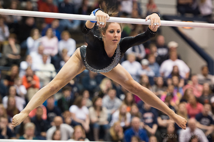 Results from Search by College Program