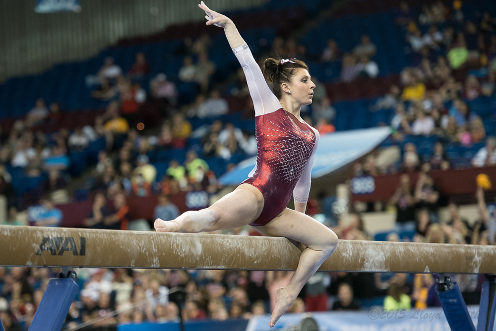 Results from Search by College Program