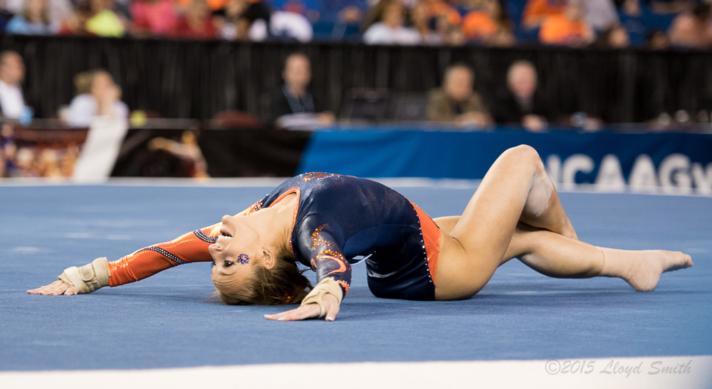 Results from Search by College Program