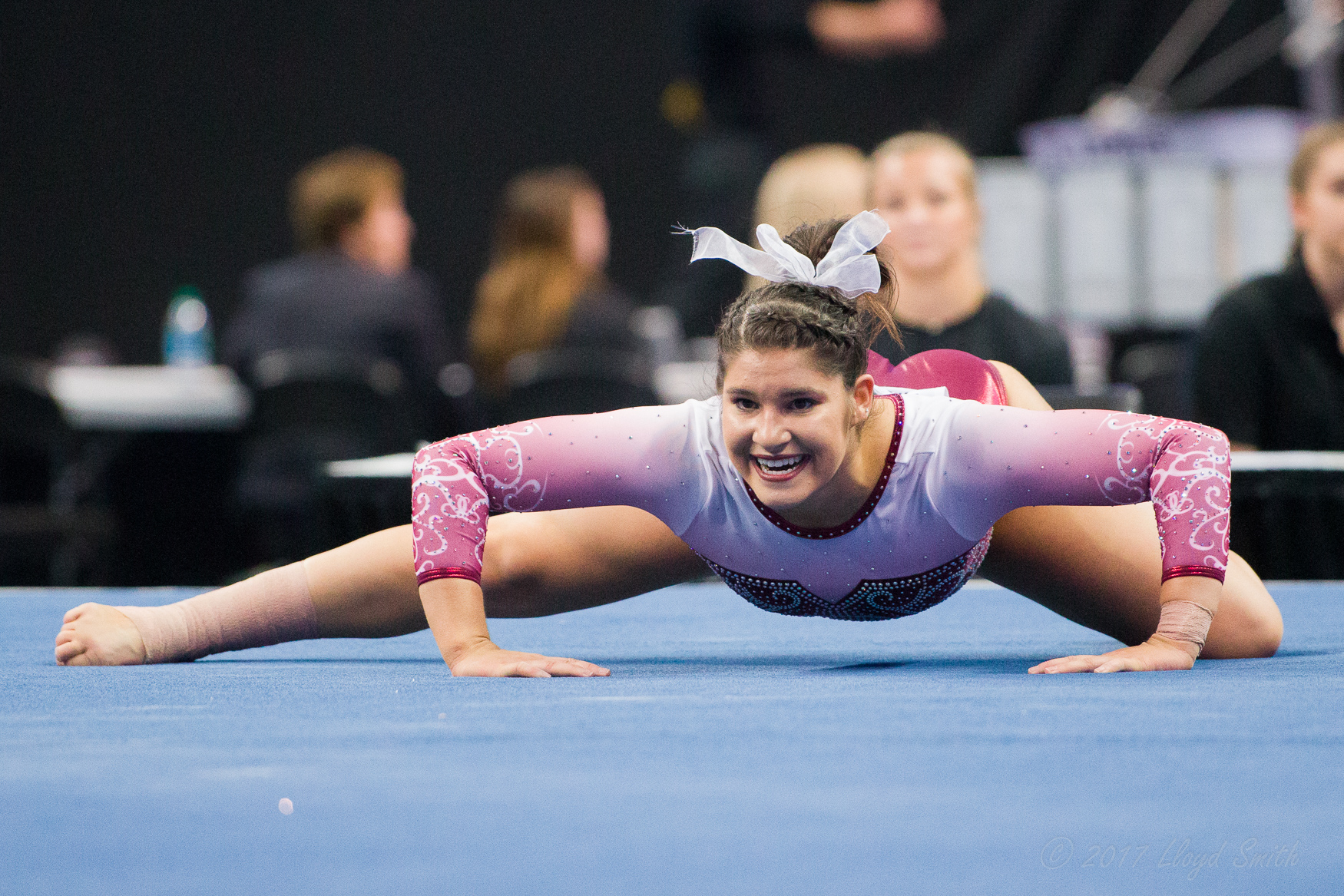 Results from Search by College Program