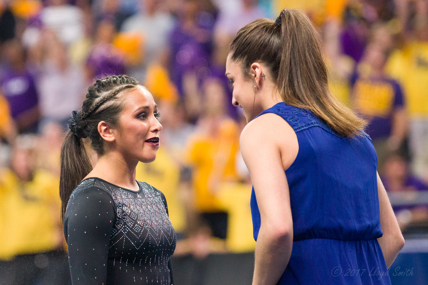 Results from Search by College Program