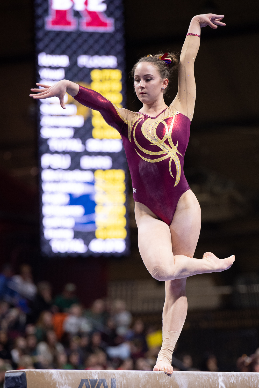 Results from Search by College Program