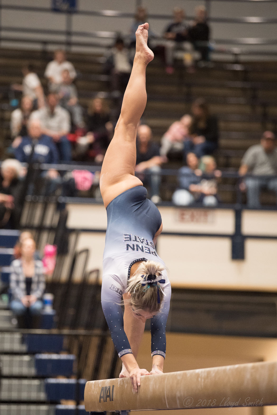 Results from Search by College Program