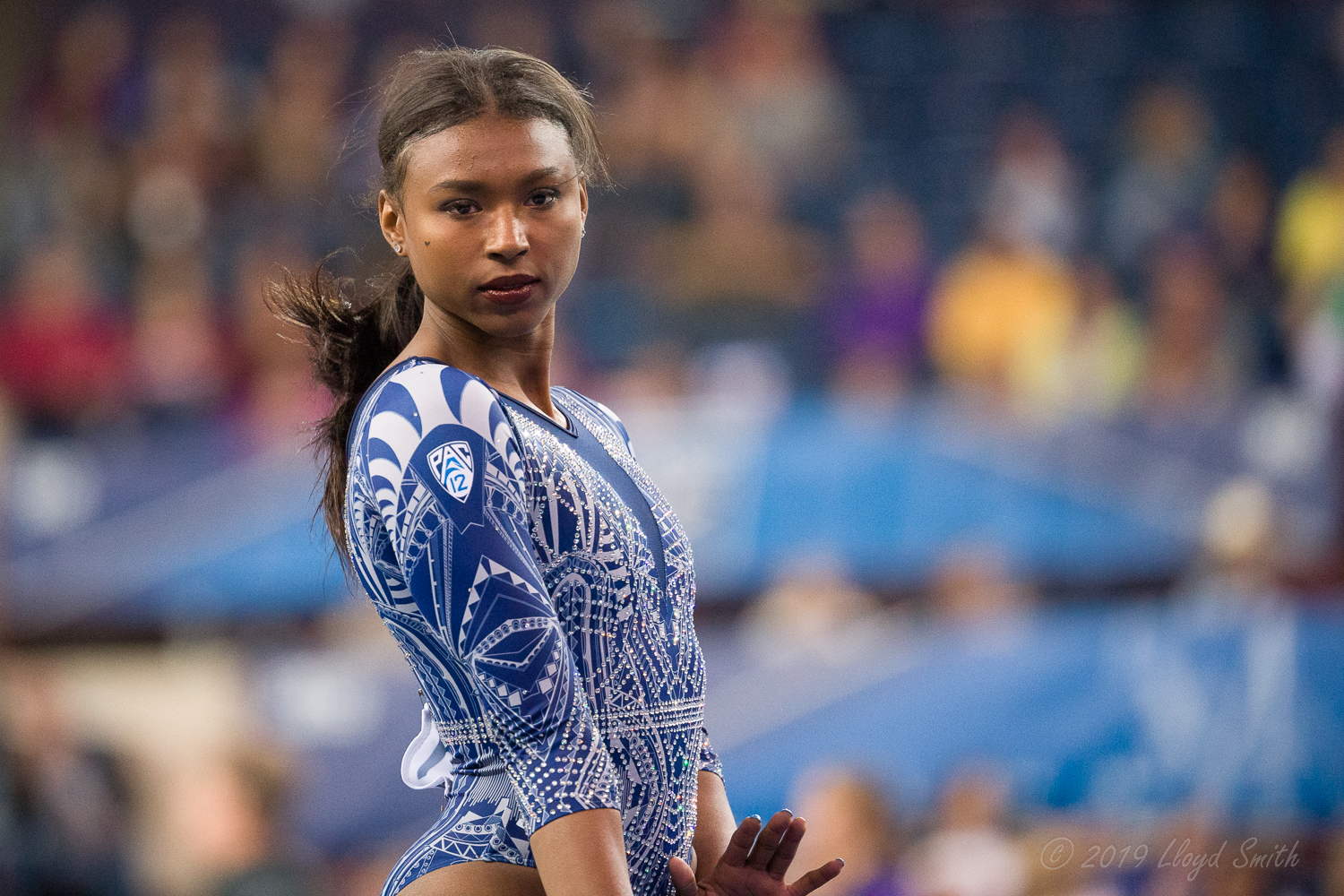 Results from Search by College Program