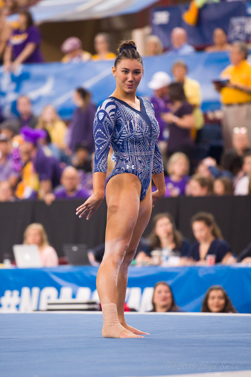 Results from Search by College Program