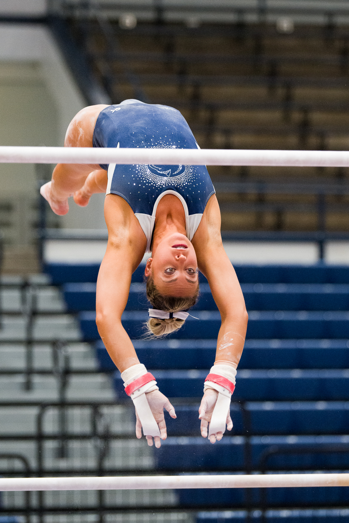 Results from Search by College Program