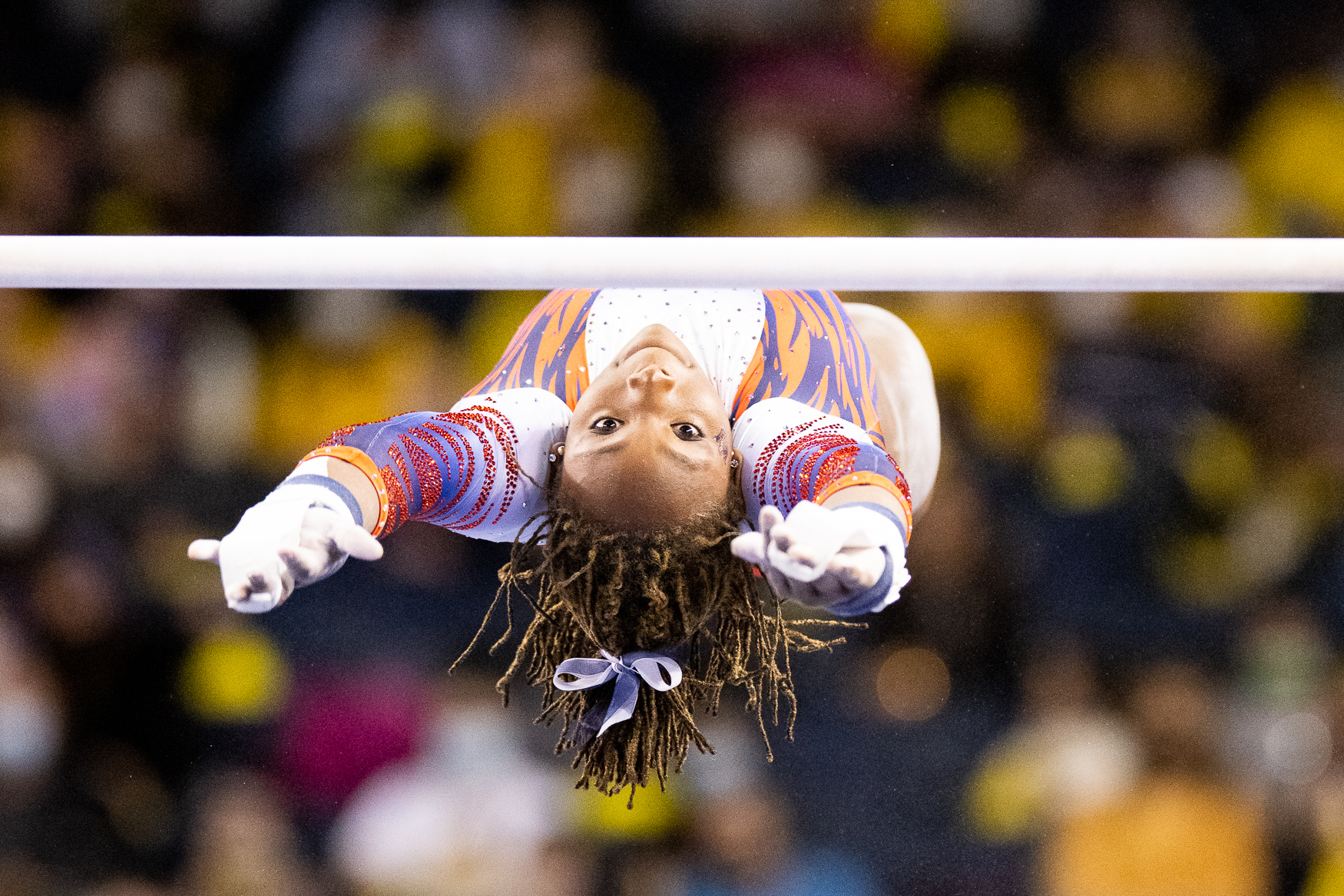 Results from Search by College Program