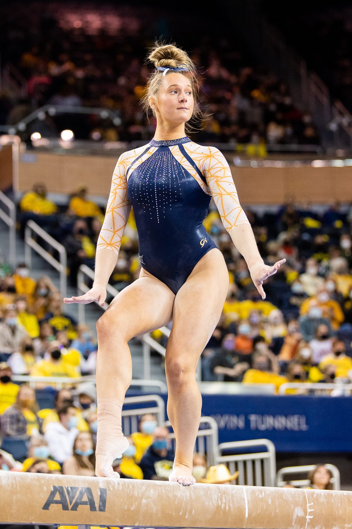 Results from Search by College Program