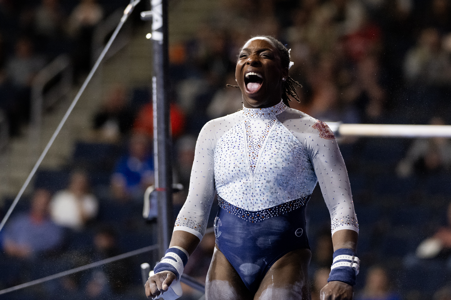 Results from Search by College Program