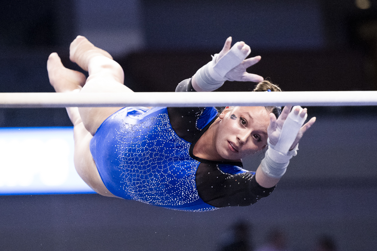 Results from Search by College Program