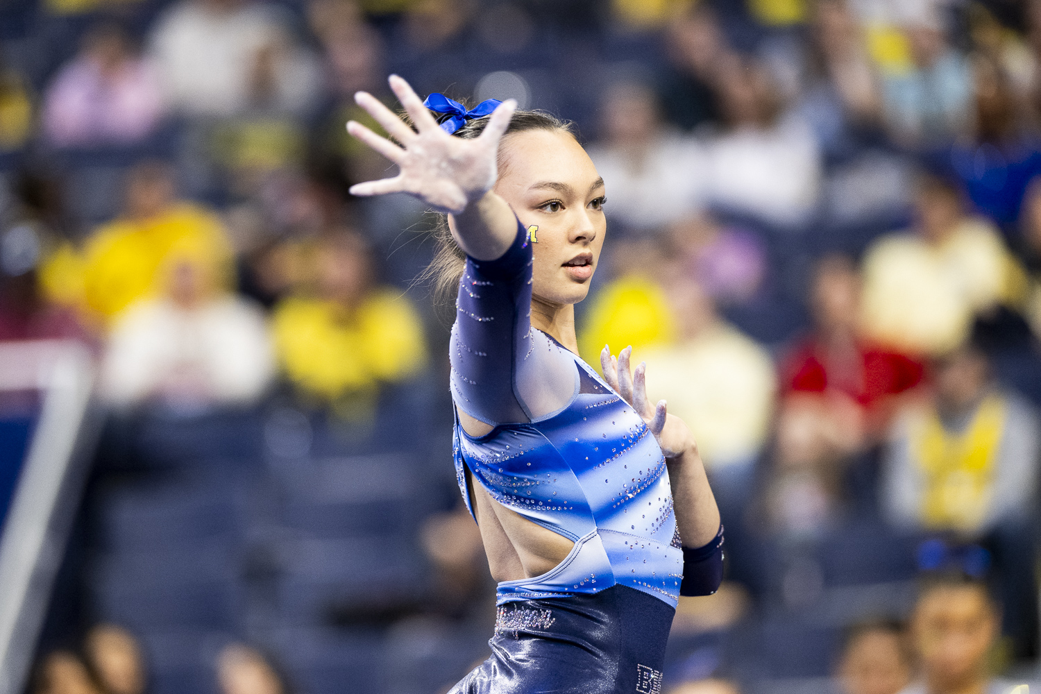 Results from Search by College Program